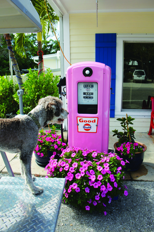 The question of insurance liability and sidewalks: We may save our pink ...