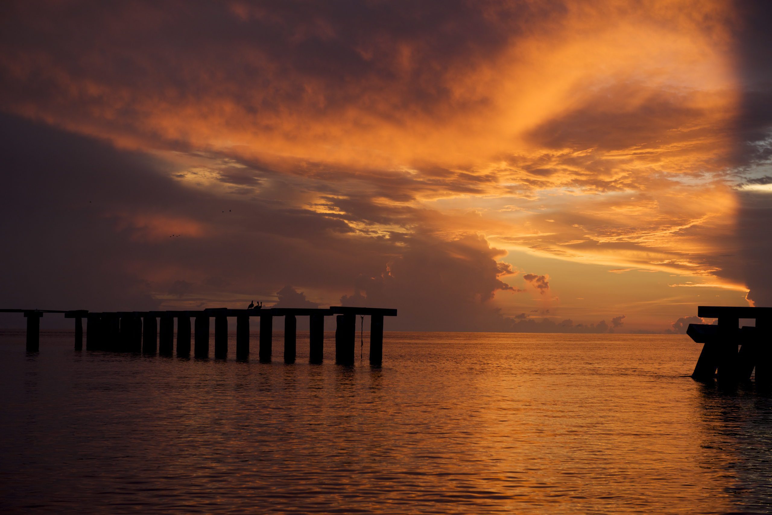 Fred was a dud, Grace got lost ... what’s next? | Boca Beacon