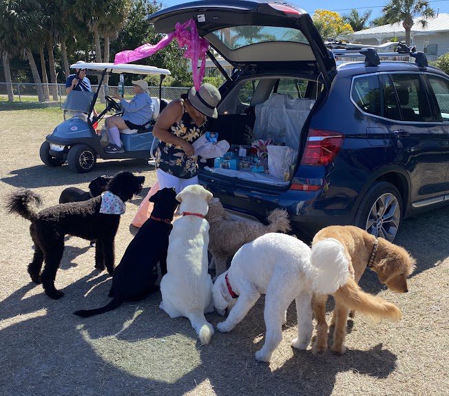 Boca Grande 2024 dog show | Boca Beacon