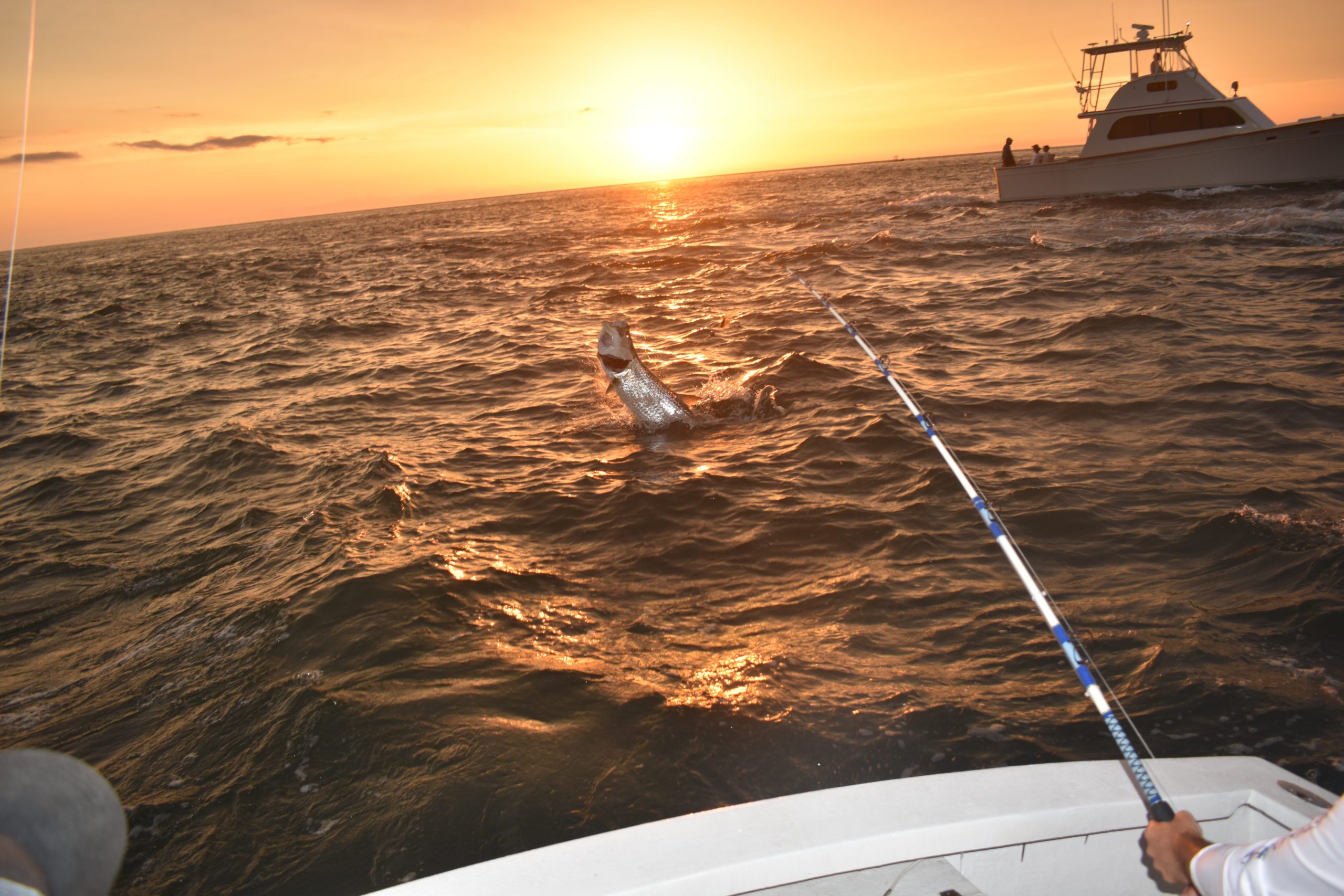 Still in paradise: We just share less fish, with more people | Boca Beacon