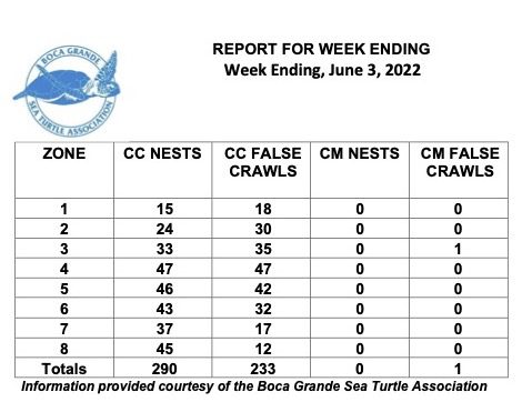 TURTLE TRACKS: Sharks make the list for sea turtle predators, too ...