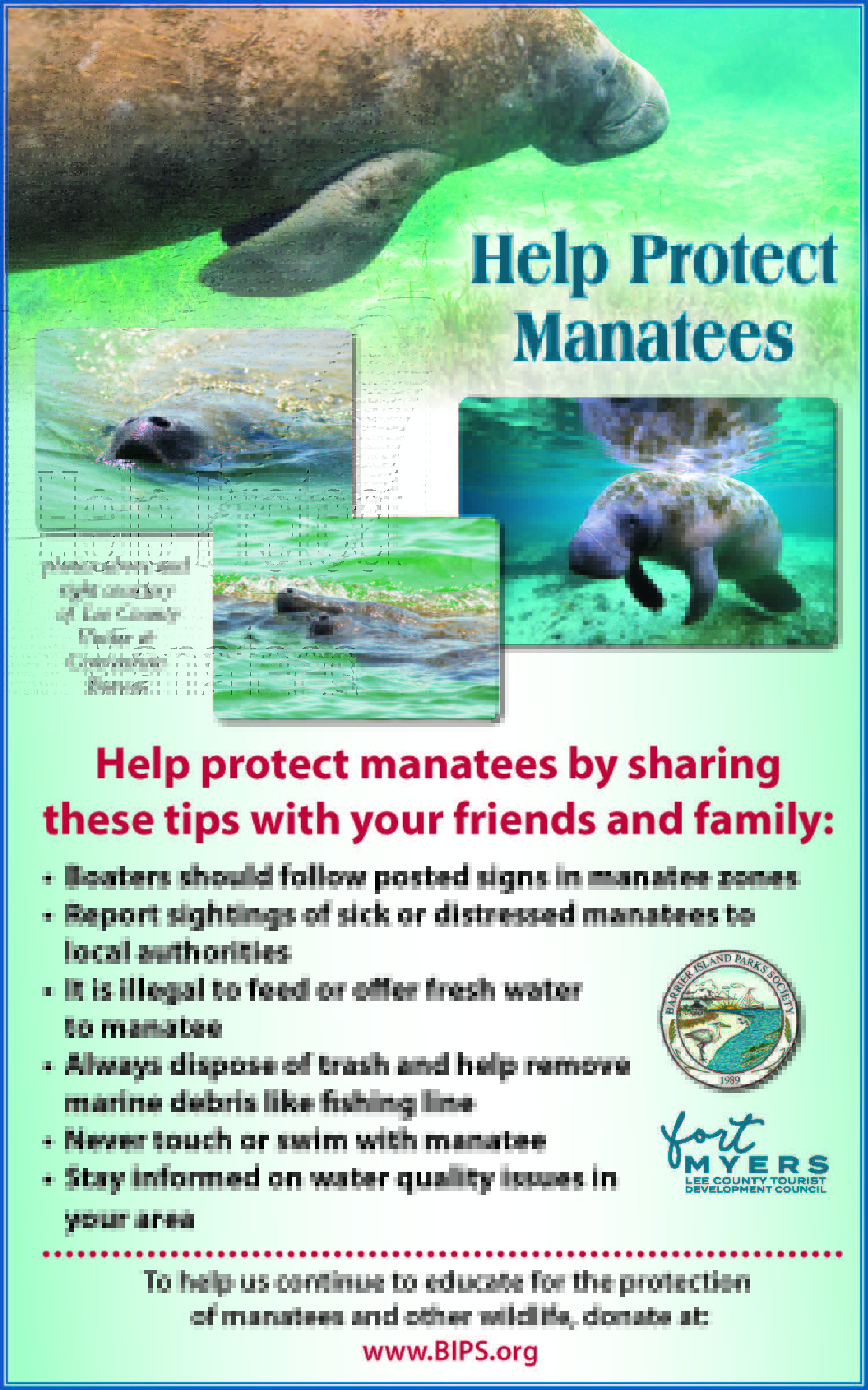 BIPS asks everyone to help protect manatees | Boca Beacon