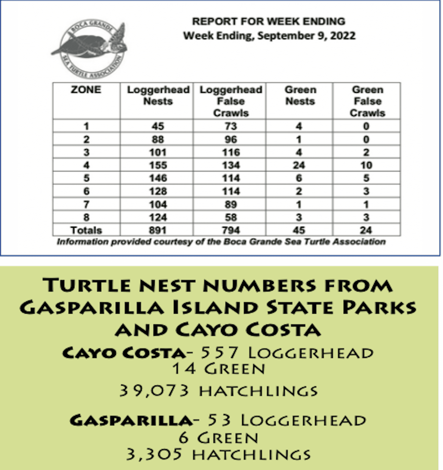 Gasparilla Island/Cayo Costa sea turtle numbers | Boca Beacon