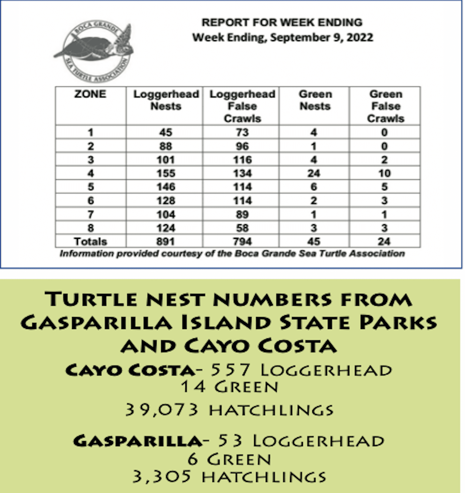 Gasparilla Island/Cayo Costa sea turtle numbers | Boca Beacon