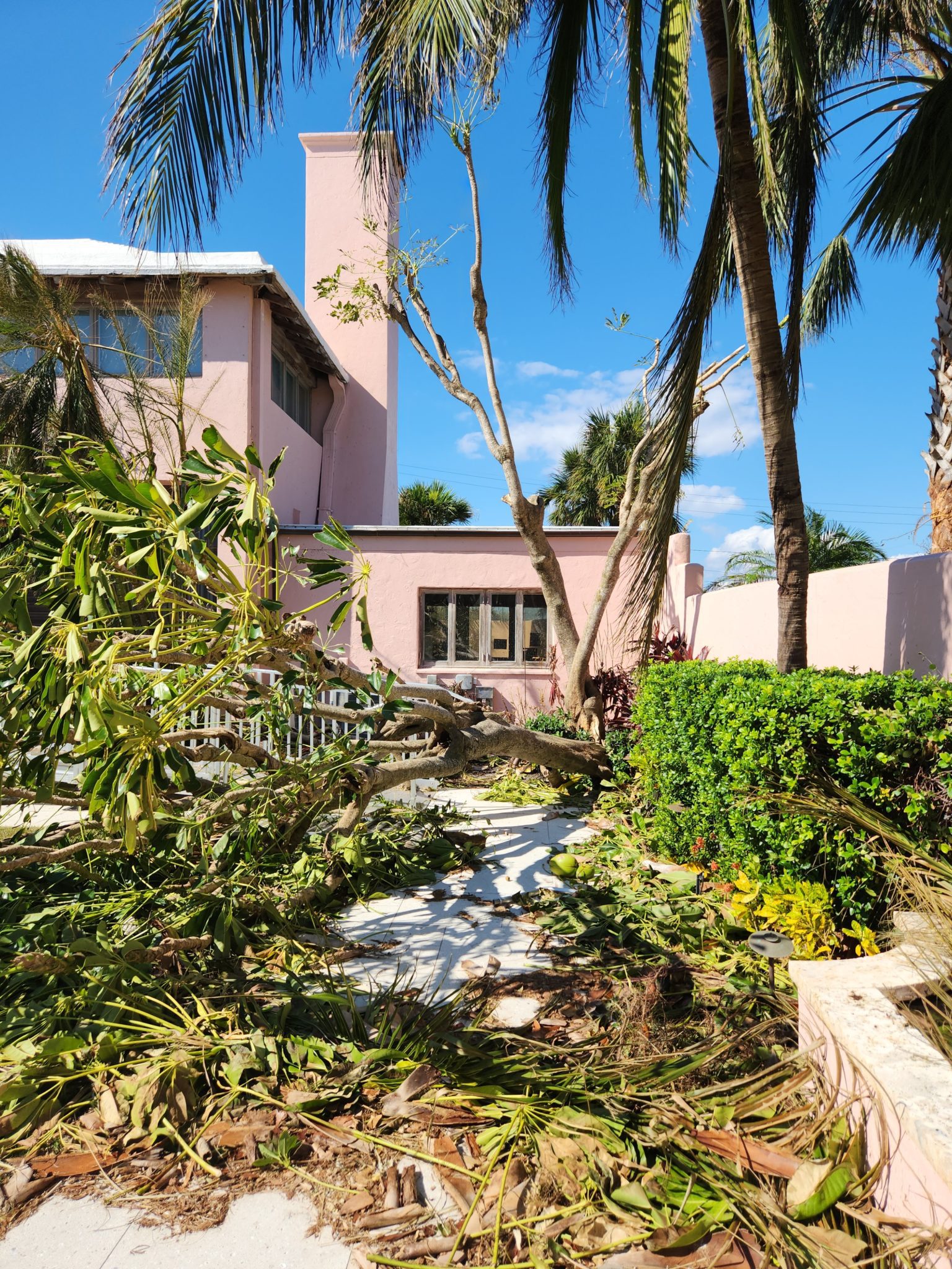 IN THE SPOTLIGHT: It’s time to turn another page – The Johann Fust ...