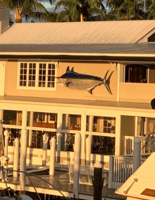 A tragic fish tale: The case of the missing Miller’s marlin | Boca Beacon