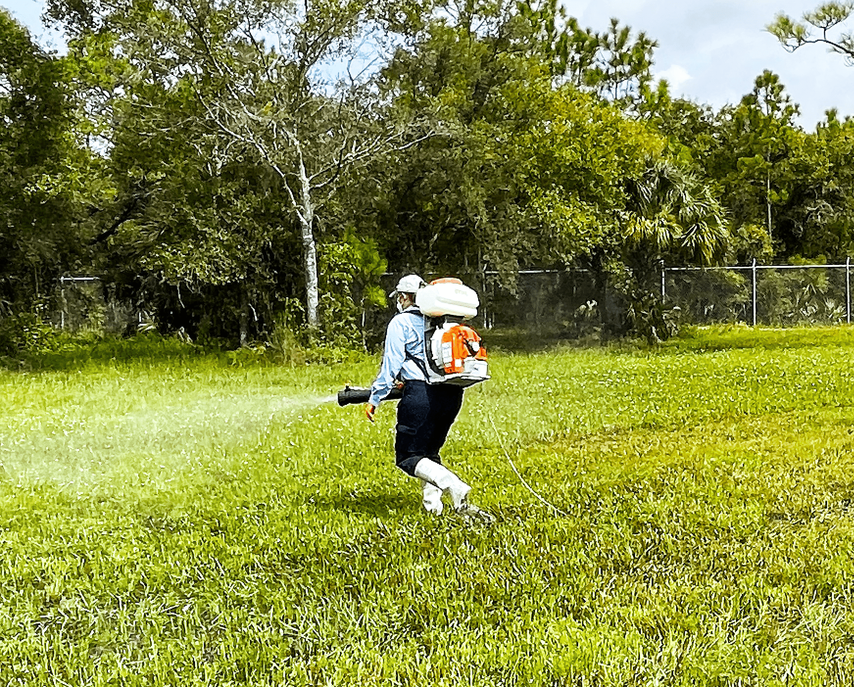 Malaria cases put local mosquito control districts on alert | Boca Beacon