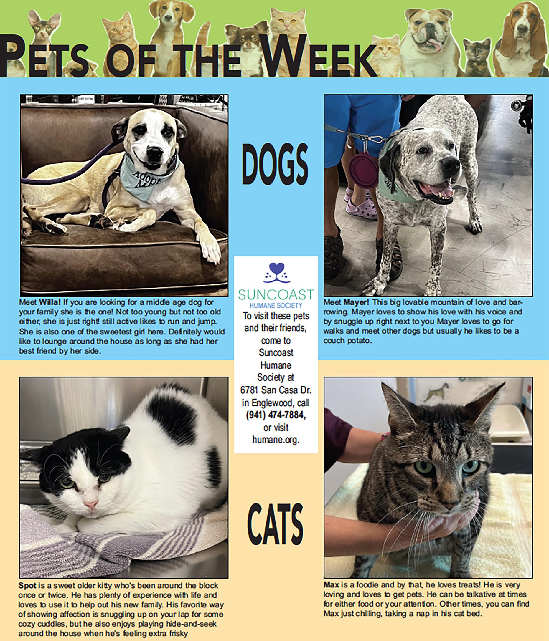PETS OF THE WEEK | Boca Beacon