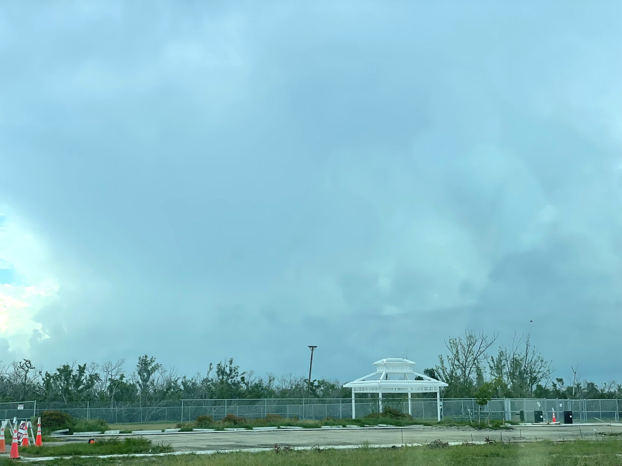 Advancements at the Dog Park | Boca Beacon