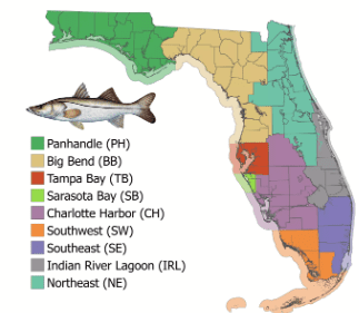 FWC reminds anglers of changes for snook beginning Jan. 1 | Boca Beacon