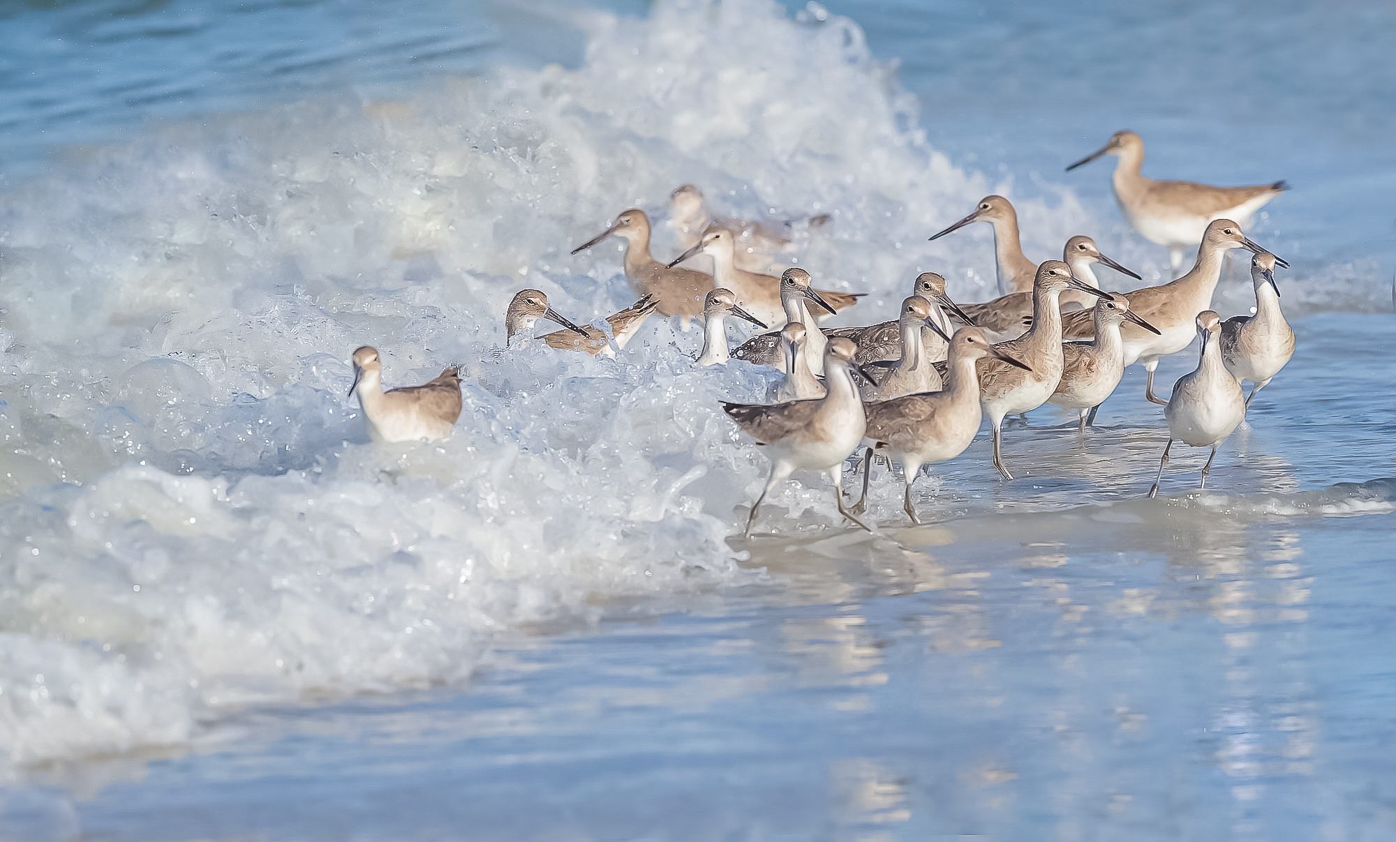 Art of Photography Camera Club show opens at March 1 reception at Boca ...