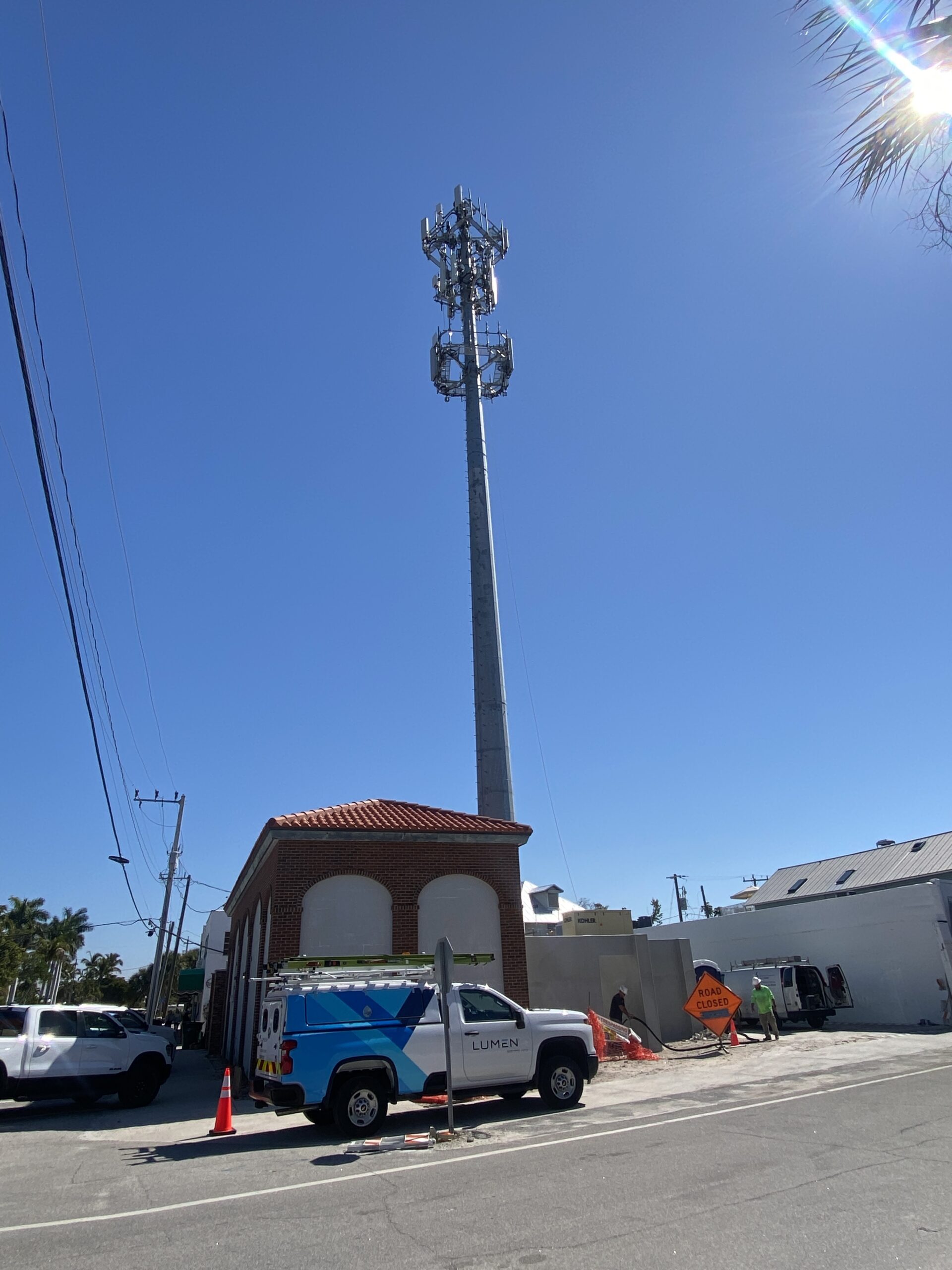‘Sunflower Effect’ makes bendy tower | Boca Beacon