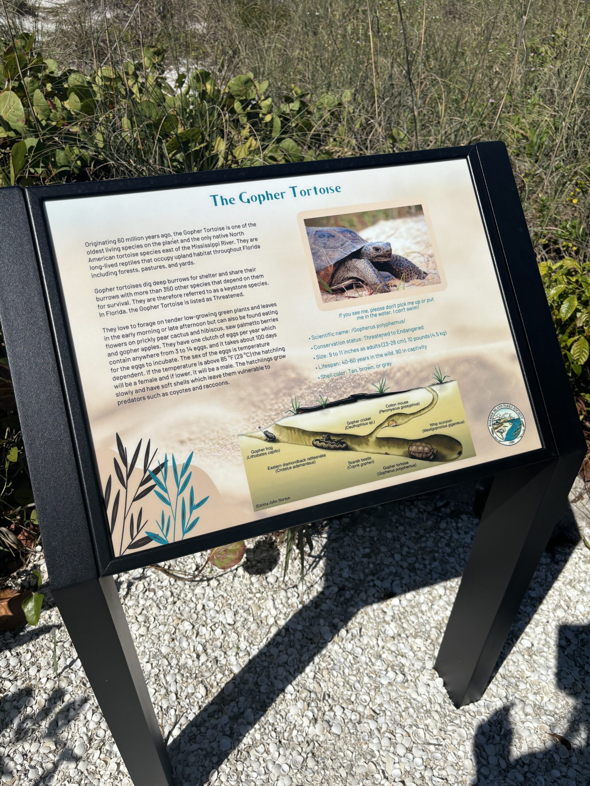 Signs aid Range Light navigation | Boca Beacon