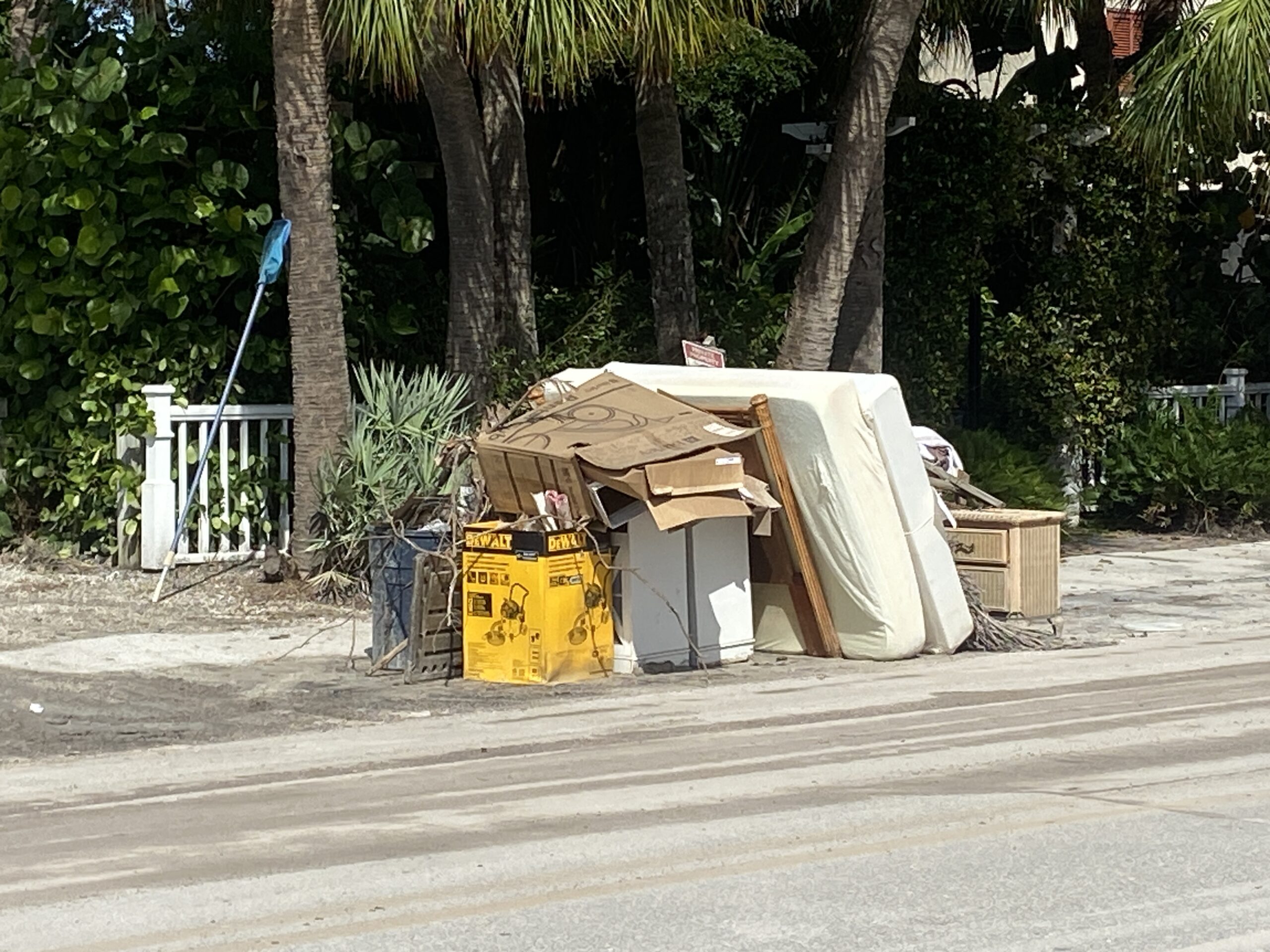 Debris collection continues; Fust Library to reopen Wednesday | Boca Beacon