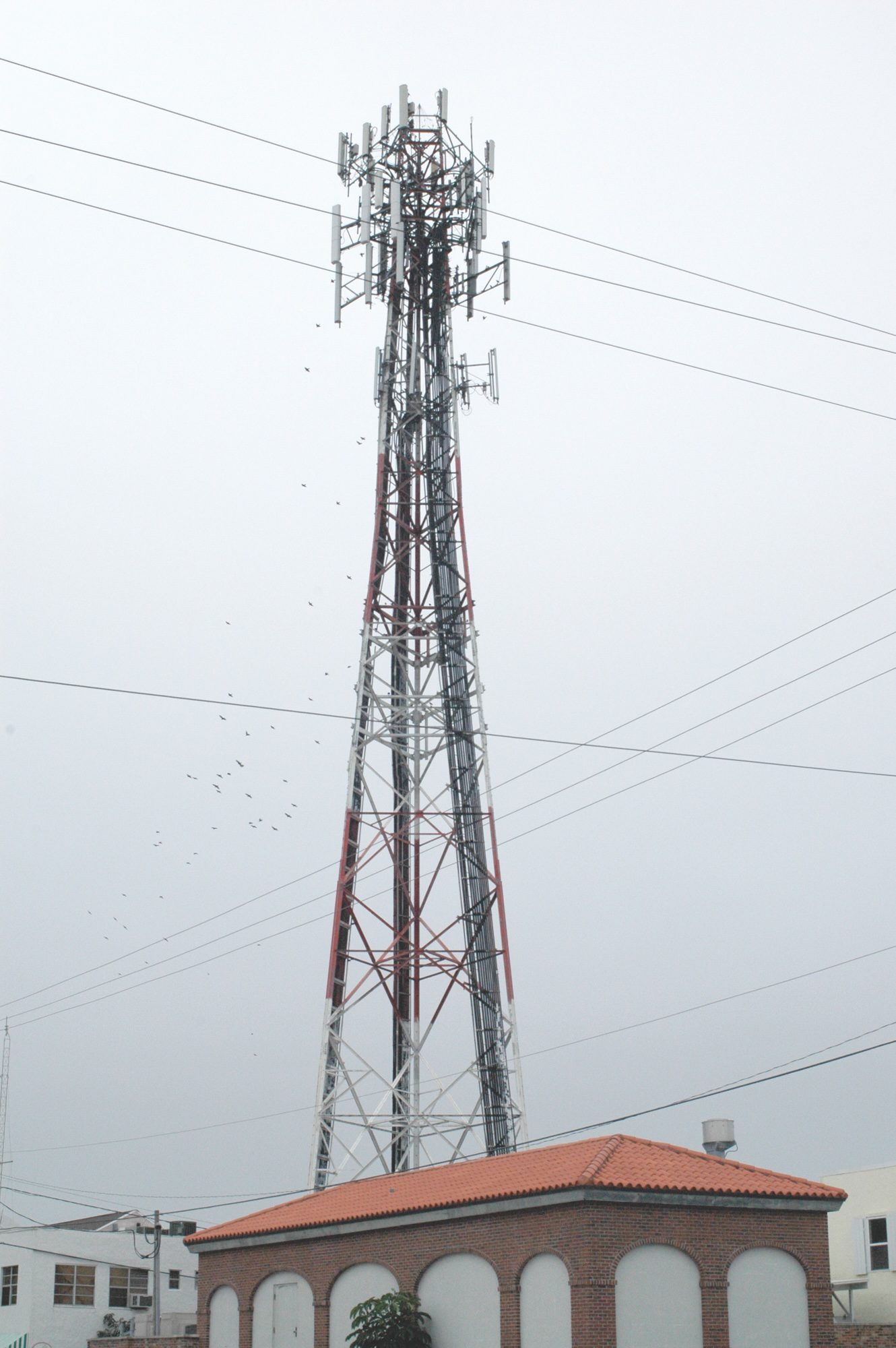 AI buzz makes 400 percent jump in old land-line phone stock | Boca Beacon