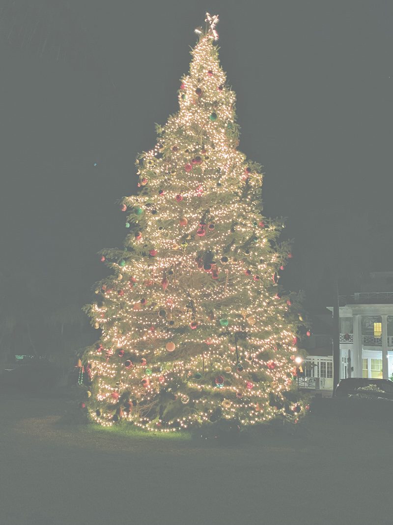 Christmas Tree Lighting on Dec. 8 | Boca Beacon