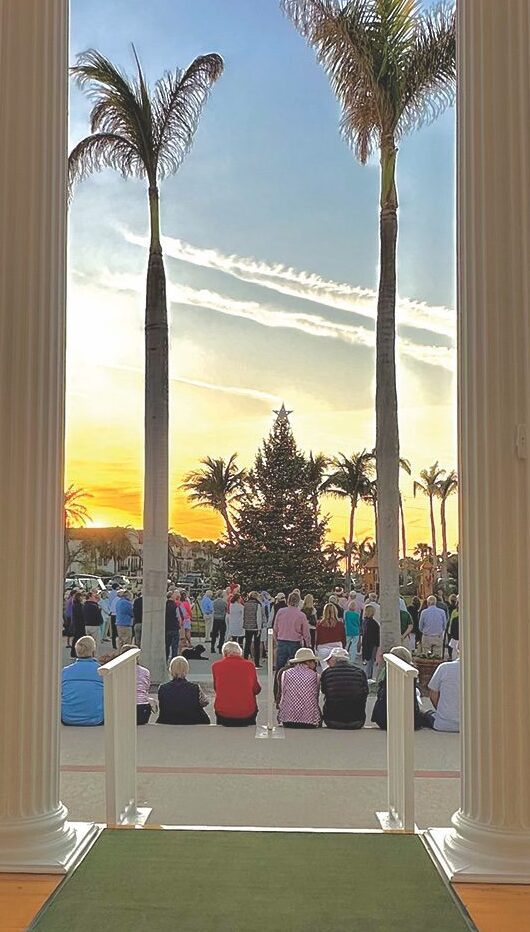 O Christmas Tree | Boca Beacon