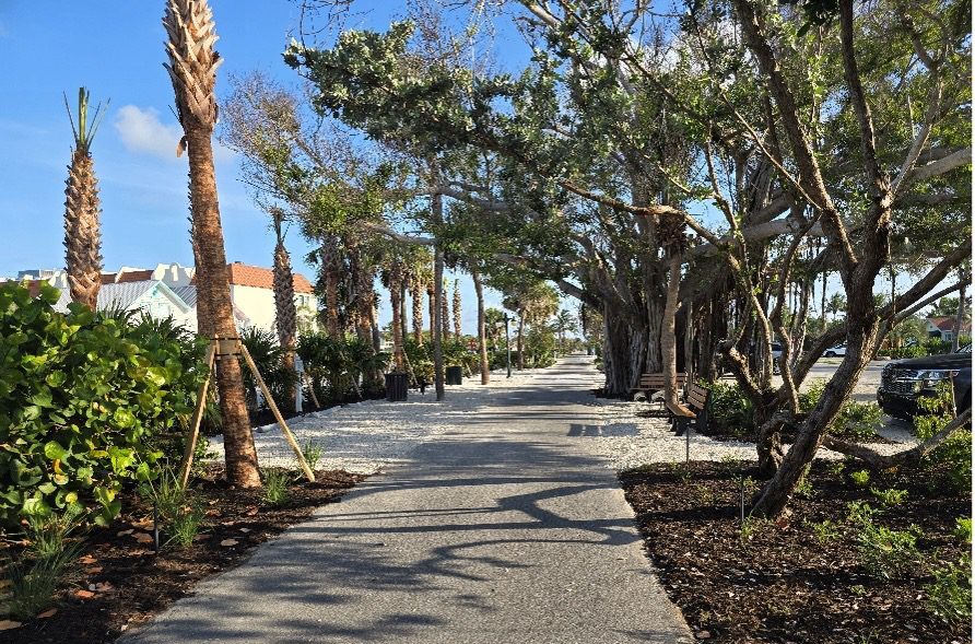 Five miles of bike path landscaping under way | Boca Beacon