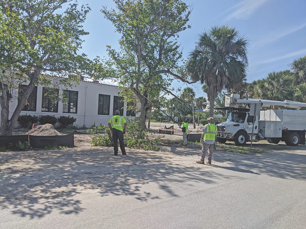 Community Center trees and mains | Boca Beacon