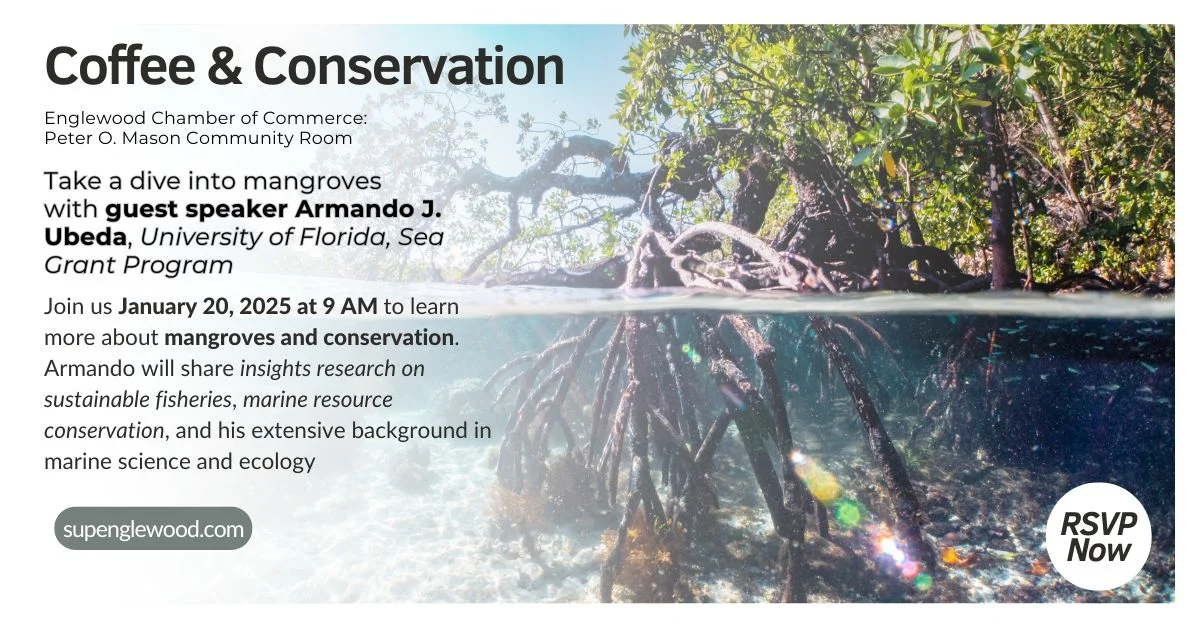 World of mangroves the subject of conservation lecture series talk at ...