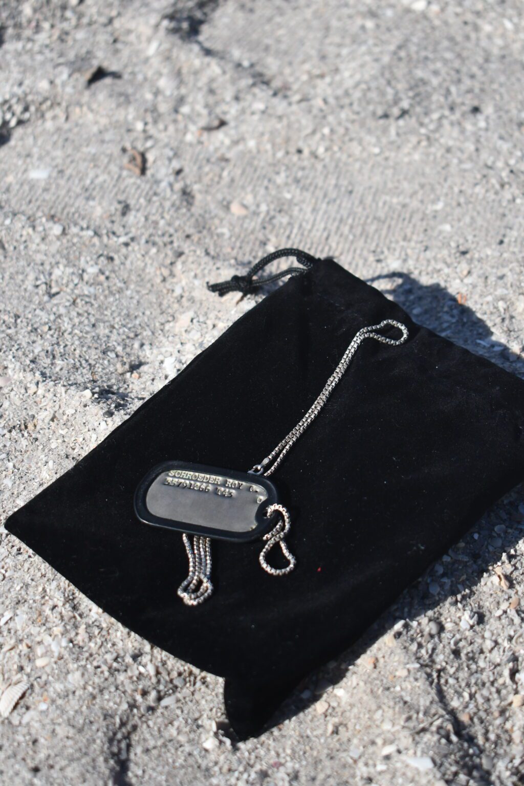 Dog tag owner found, but mystery as to how tag beached | Boca Beacon